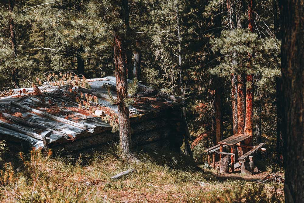 Erdhügelhaus: Individuell gebaut, der Natur ganz nah - exxpose